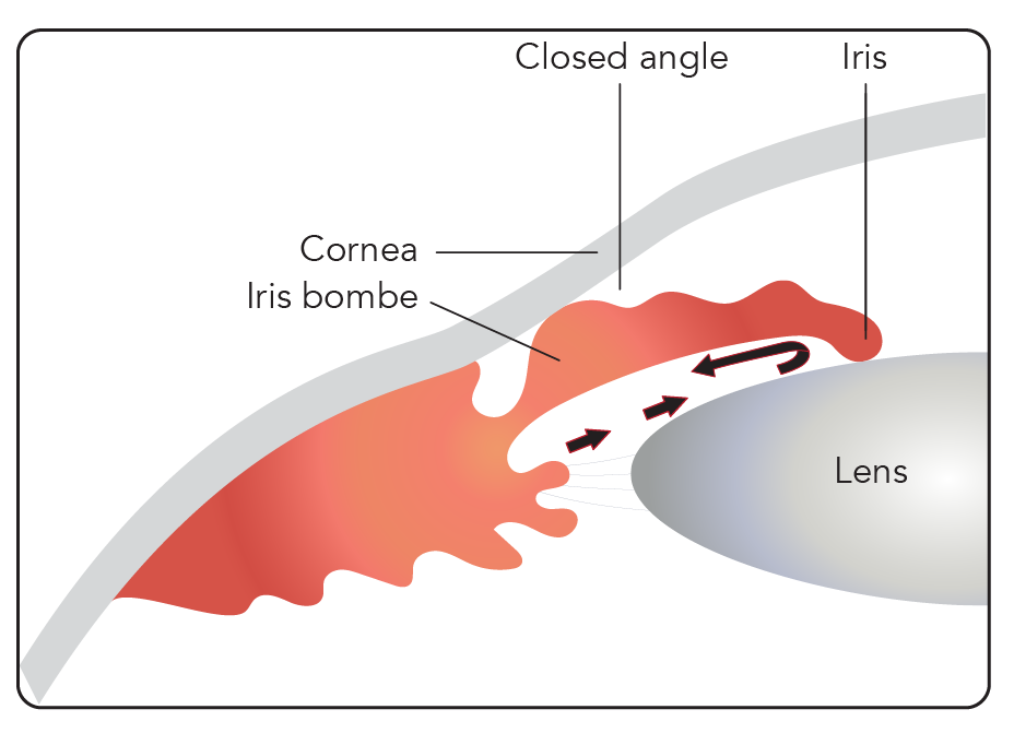 Health Library - Tan Tock Seng Hospital